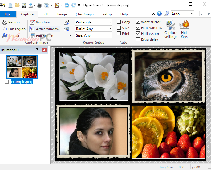 Giveaway: HyperSnap 8 Download License Key Free Lifetime