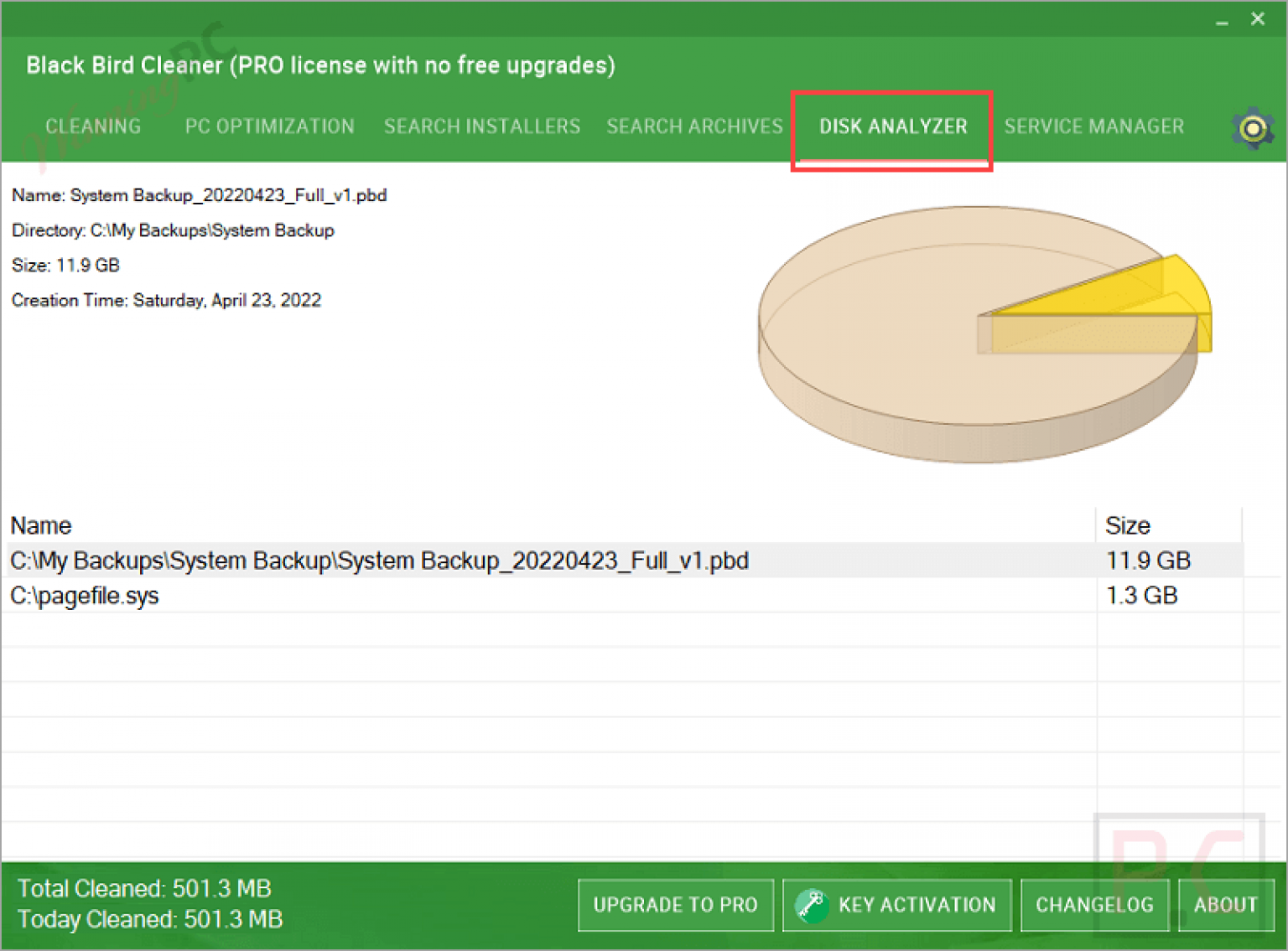 Black Bird Cleaner Pro License Code Free Giveaway 2023