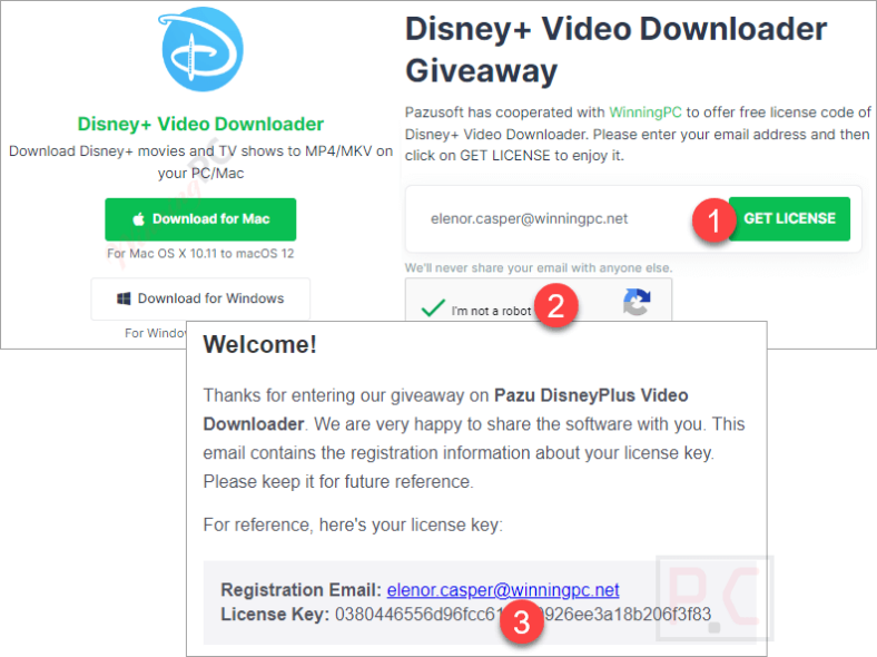 Pazu Disney+ Video Downloader Giveaway Key Free 2024