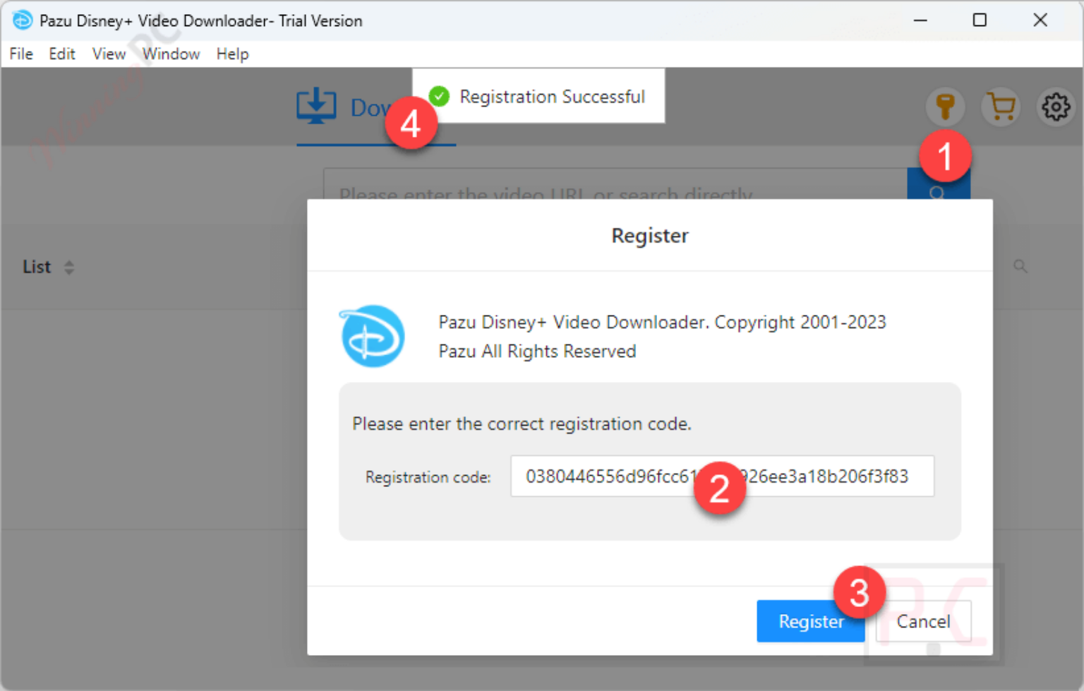 Pazu Disney+ Video Downloader Giveaway Key Free 2024