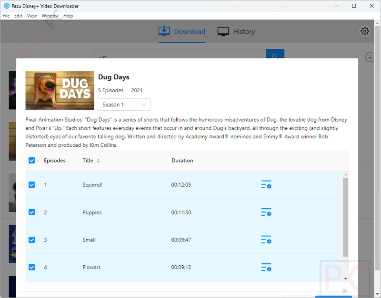 Pazu Disney+ Video Downloader Giveaway Key Free 2024