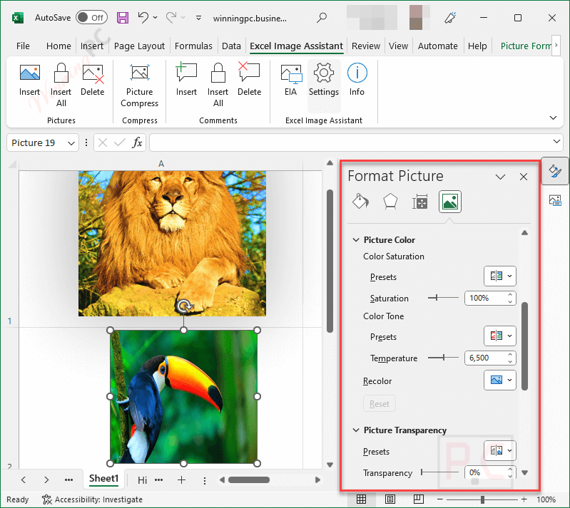Excel Image Assistant Coupon Codes & Discount