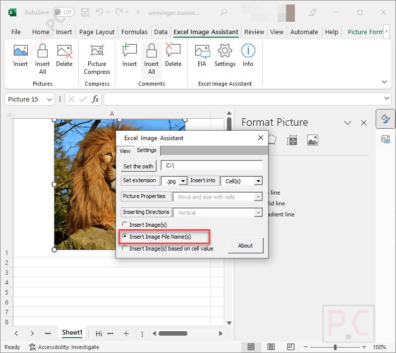 Excel Image Assistant Coupon Codes & Discount