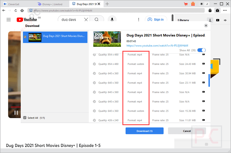 CleverGet All-In-One 90% Coupon Code 2025 (100% Working)