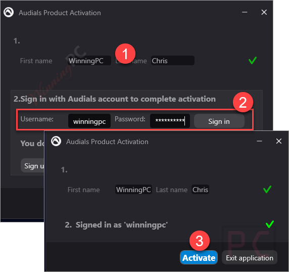 Audials Vision 2025 Giveaway Full Version Download