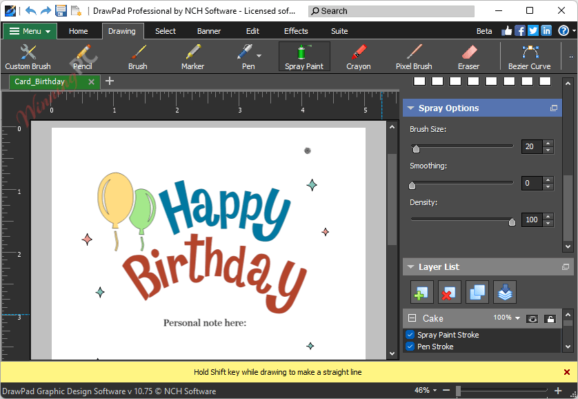 DrawPad Professional Giveaway License Code Free