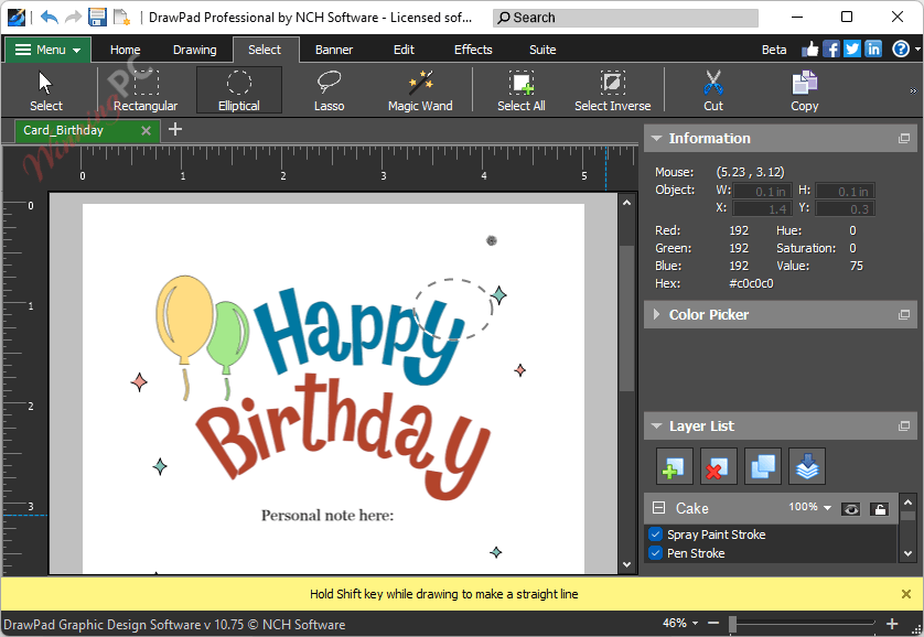 DrawPad Professional Giveaway License Code Free