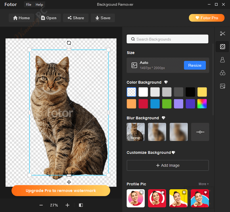 72% Off Fotor Photo Editor Pro Coupon Codes 2025