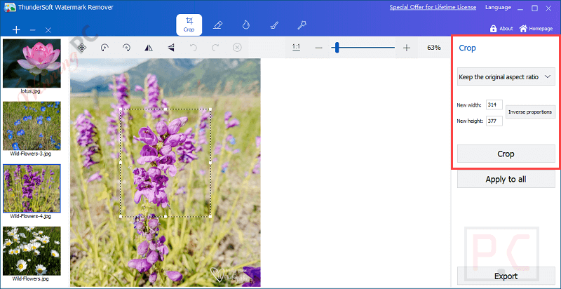 ThunderSoft Watermark Remover License Key Free
